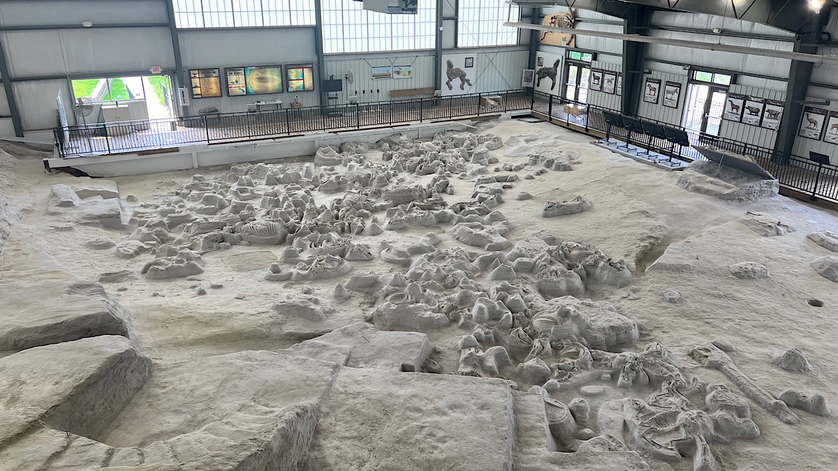 Ashfall Fossil Beds – Smokey Da Van